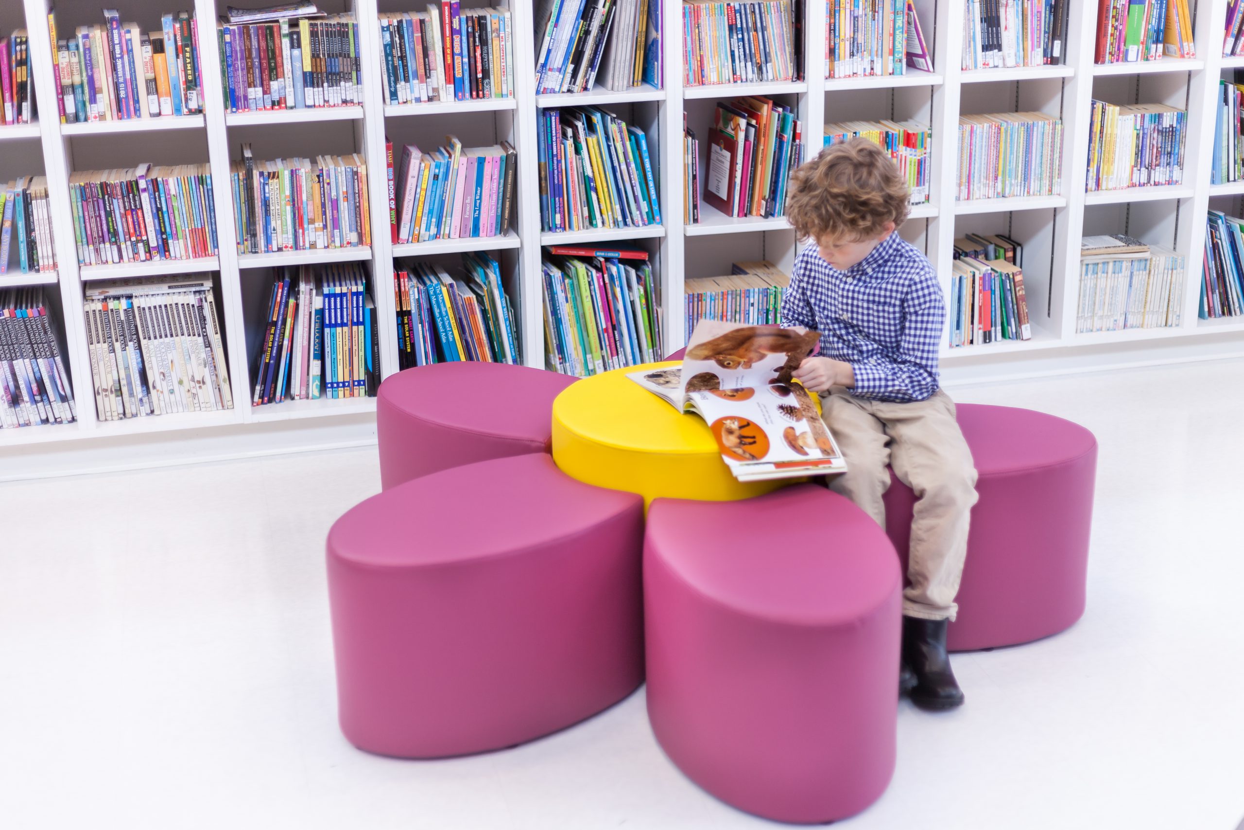 Home | Shaw Group Ltd